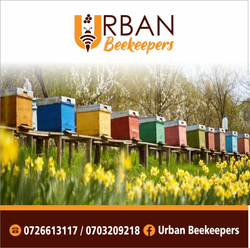 Langstroth hives for sale in Kenya | Urban Beekeepers