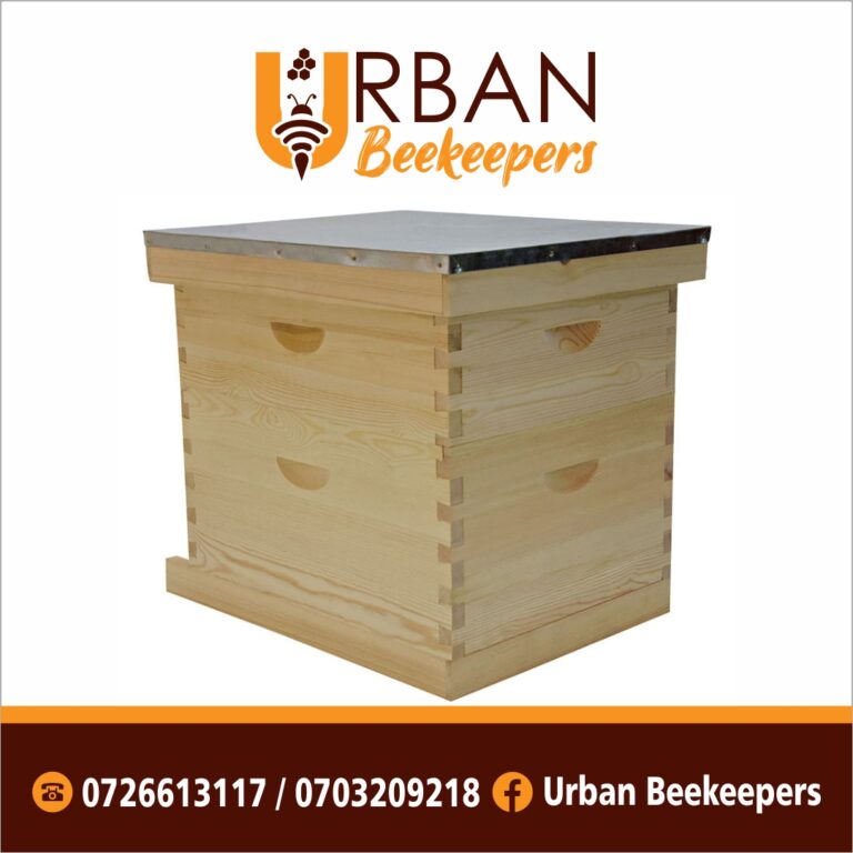 Types of Bee Hives - Urban Beekeepers